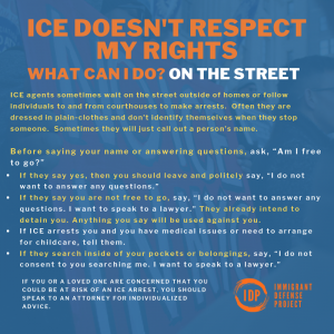 IDP's Shareable Infographics - Immigrant Defense Project